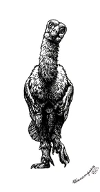 Kuru | Prehistoria Fandom | Fandom