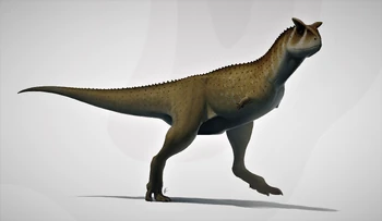 Carnotaurus | Prehistoria Fandom | Fandom