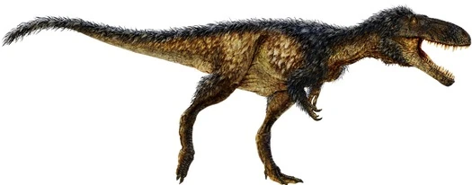 Timurlengia | Prehistoria Fandom | Fandom