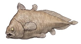 Allenypterus | Prehistoria Fandom | Fandom