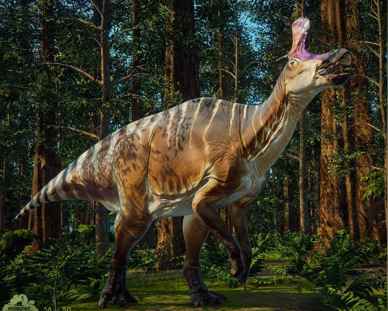 Lambeosaurus | Wiki Prehistórico | Fandom