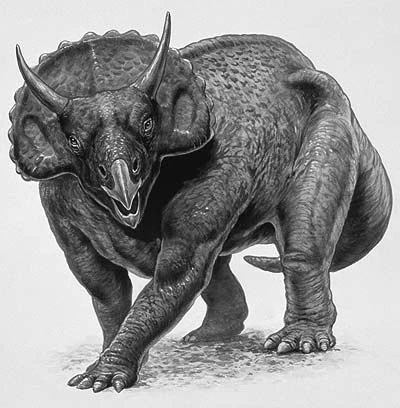 Diceratops