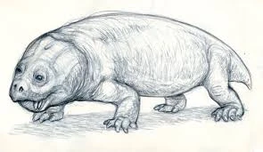 Emydops | Prehistoria Fandom | Fandom