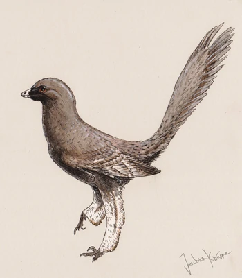 Ostromia | Prehistoria Fandom | Fandom