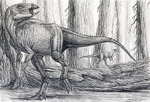 Changchunsaurus | Prehistoria Fandom | Fandom