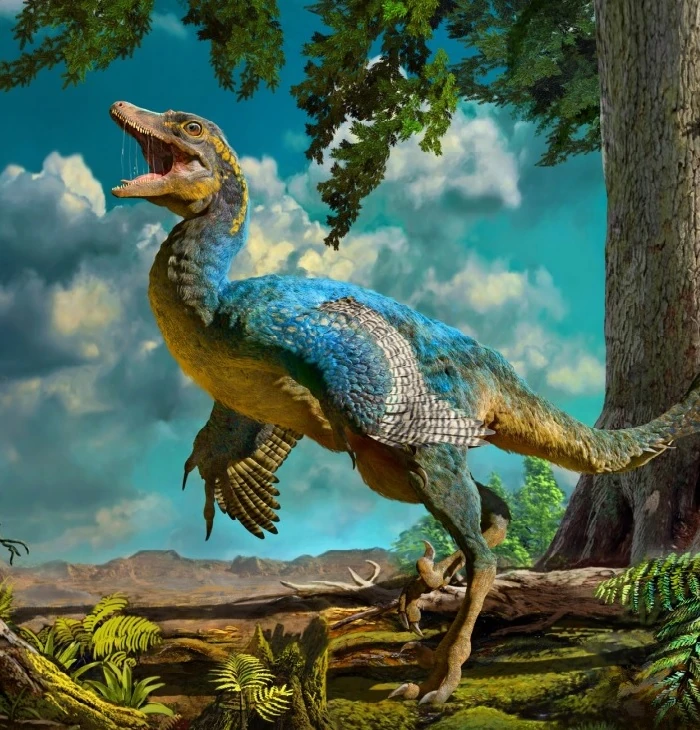 Daliansaurus | Prehistoria Fandom | Fandom