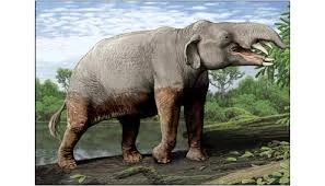 Palaeomastodon | Prehistoria Fandom | Fandom