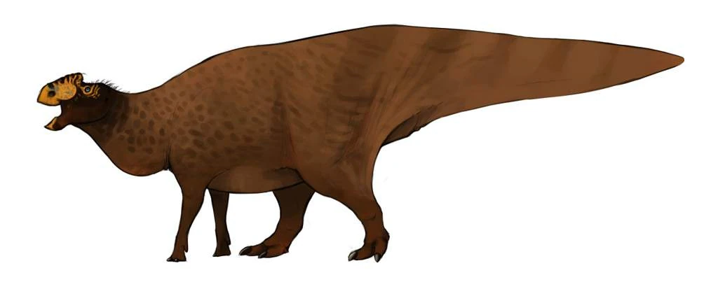 Aralosaurus | Prehistoria Fandom | Fandom