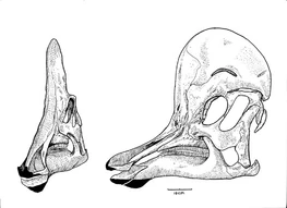 Corythosaurus | Prehistoria Fandom | Fandom