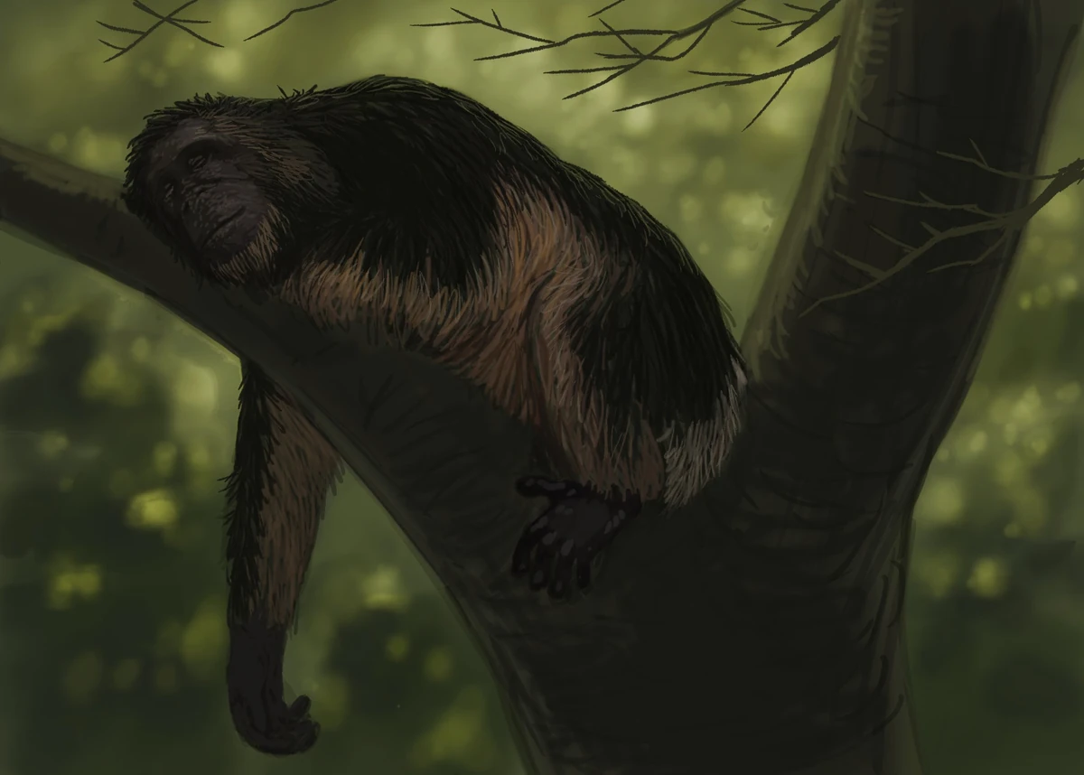 Meganthropus | Prehistoria Fandom | Fandom
