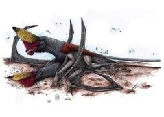 Caviramus | Prehistoria Fandom | Fandom