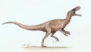 Eodromaeus | Prehistoria Fandom | Fandom