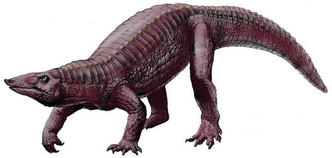 Chilenosuchus | Prehistoria Fandom | Fandom