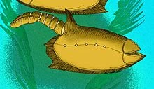 Vetulicola cuneata | Prehistoria Fandom | Fandom
