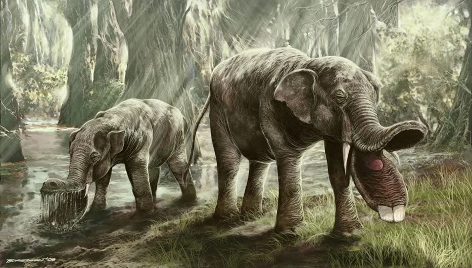Archaeobelodon | Prehistoria Fandom | Fandom