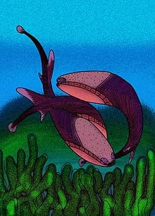 Sacambambaspis | Prehistoria Fandom | Fandom