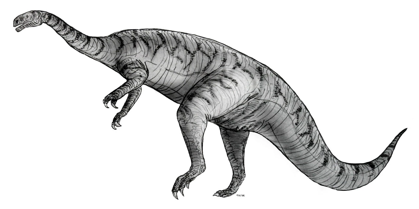 Sellosaurus
