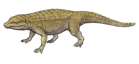 Notosuchus | Prehistoria Fandom | Fandom