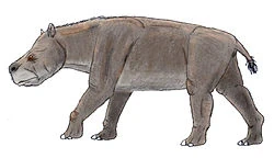 Huilatherium | Prehistoria Fandom | Fandom