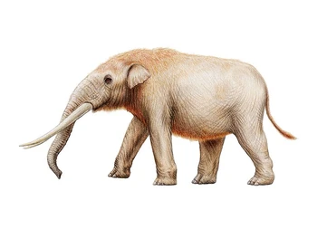 Notiomastodon | Prehistoria Fandom | Fandom