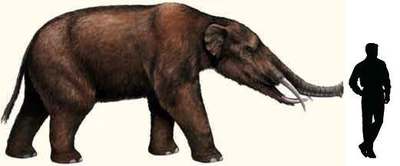 Gomphotherium | Prehistoria Fandom | Fandom