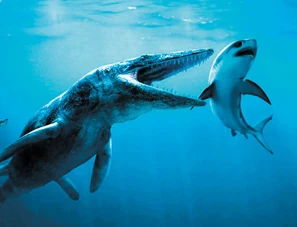 Sinopliosaurus | Prehistoria Fandom | Fandom