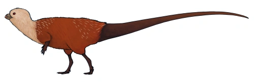 Alocodon | Prehistoria Fandom | Fandom