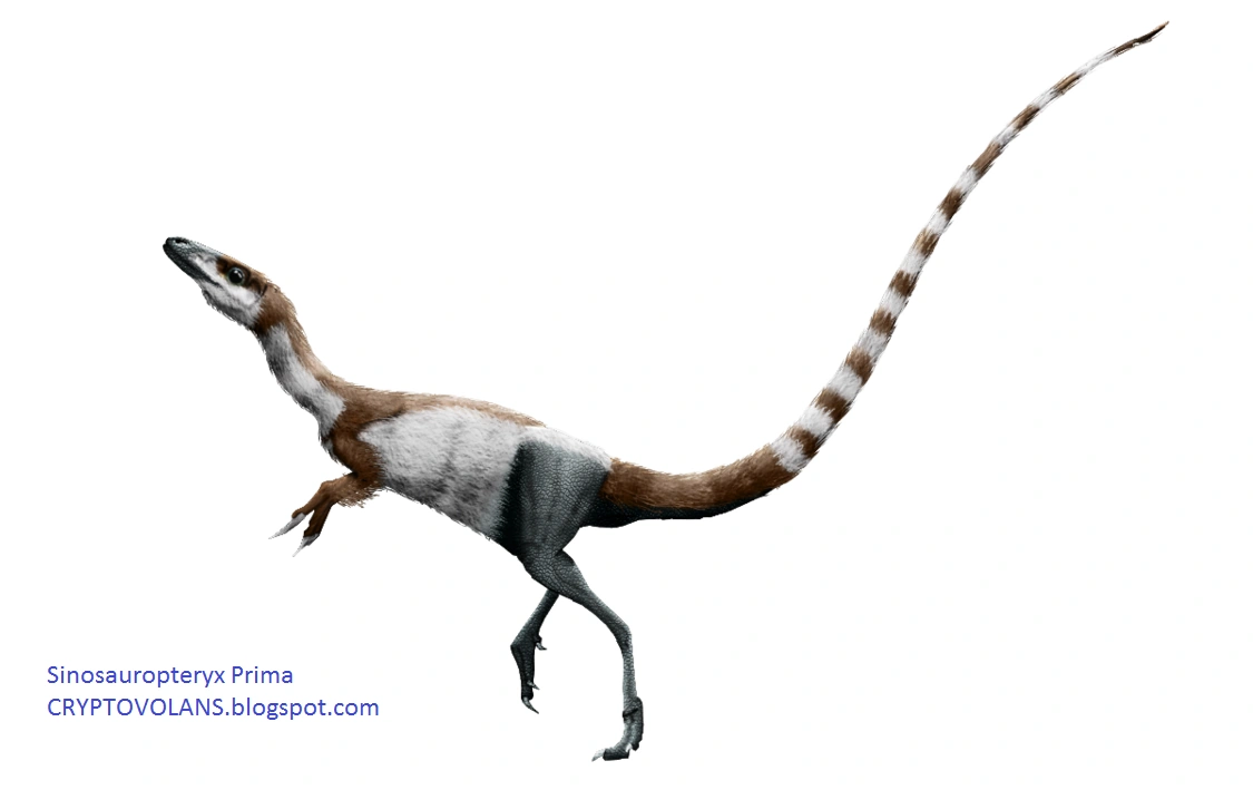 Sinosauropteryx | Prehistoria Fandom | Fandom