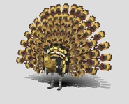 Pavo bravardi | Prehistoria Fandom | Fandom