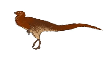 Eocursor | Prehistoria Fandom | Fandom