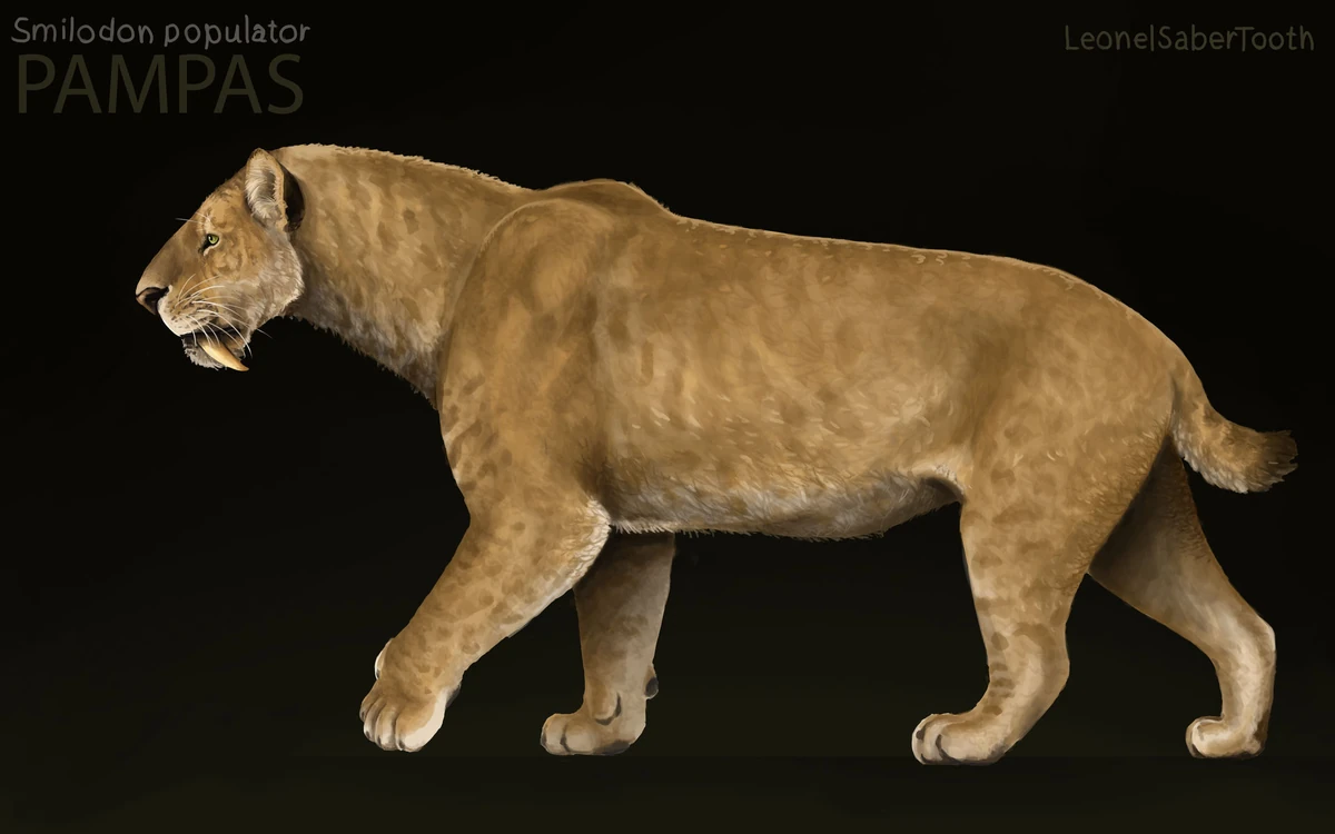 Smilodon | Prehistoria Fandom | Fandom