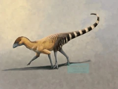 Asilisaurus | Prehistoria Fandom | Fandom