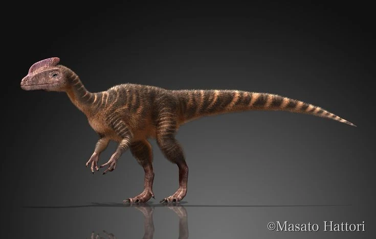 Guanlong | Prehistoria Fandom | Fandom