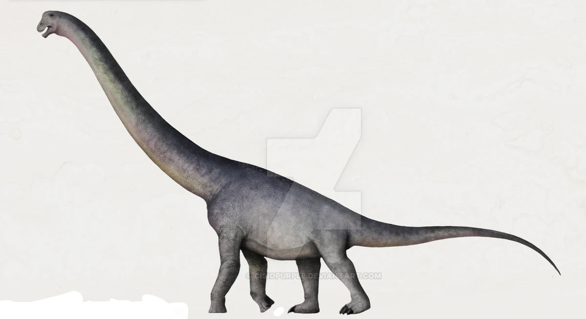Austrosaurus | Prehistoria Fandom | Fandom