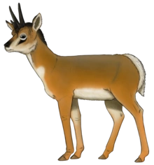 Capromeryx | Prehistoria Fandom | Fandom