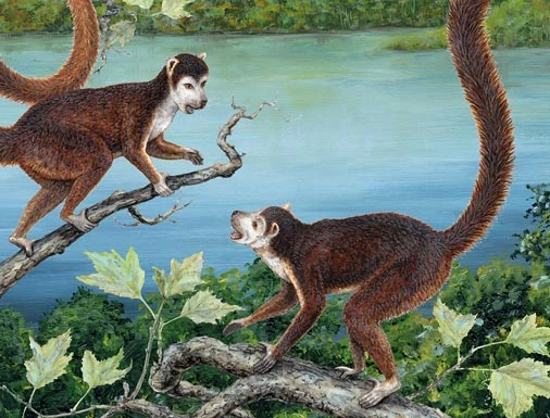Notharctus | Prehistoria Fandom | Fandom