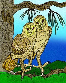 Tyto pollens | Prehistoria Fandom | Fandom