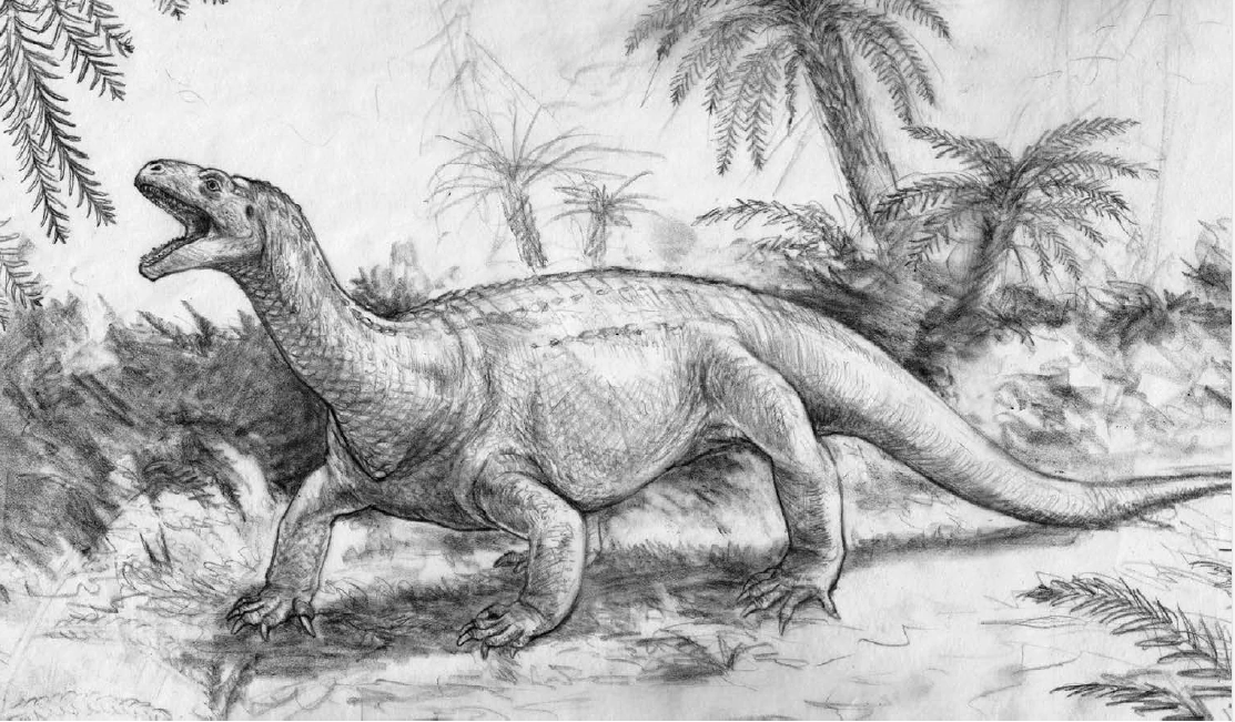 Azendohsaurus | Prehistoria Fandom | Fandom