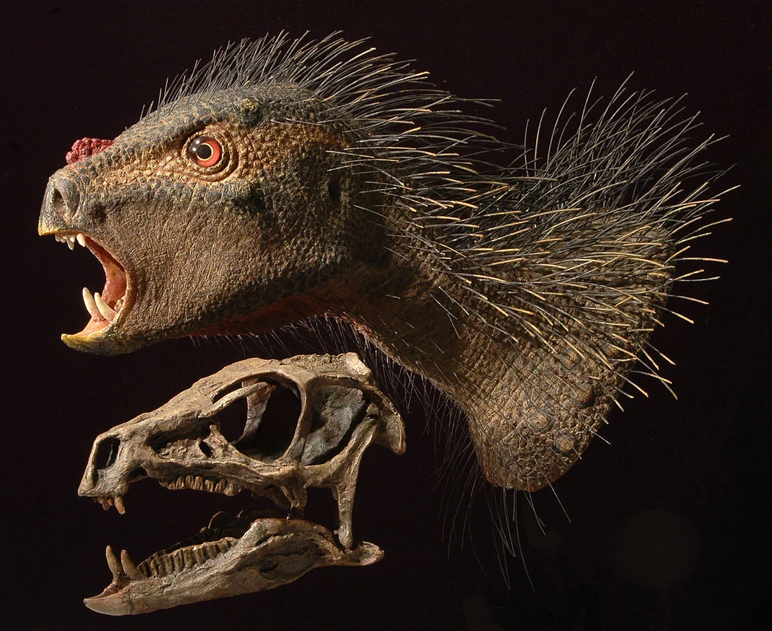 Heterodontosauridae | Prehistoria Fandom | Fandom