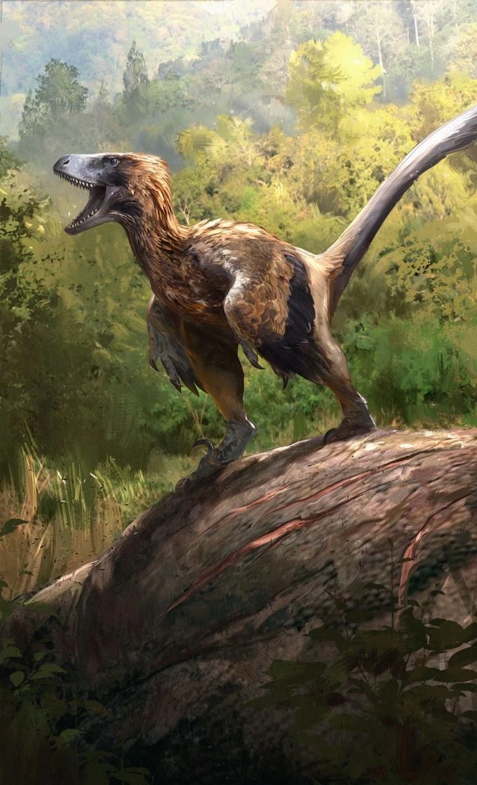 Pyroraptor | Prehistoria Fandom | Fandom
