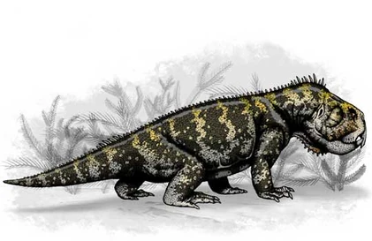 Teyumbaita | Prehistoria Fandom | Fandom