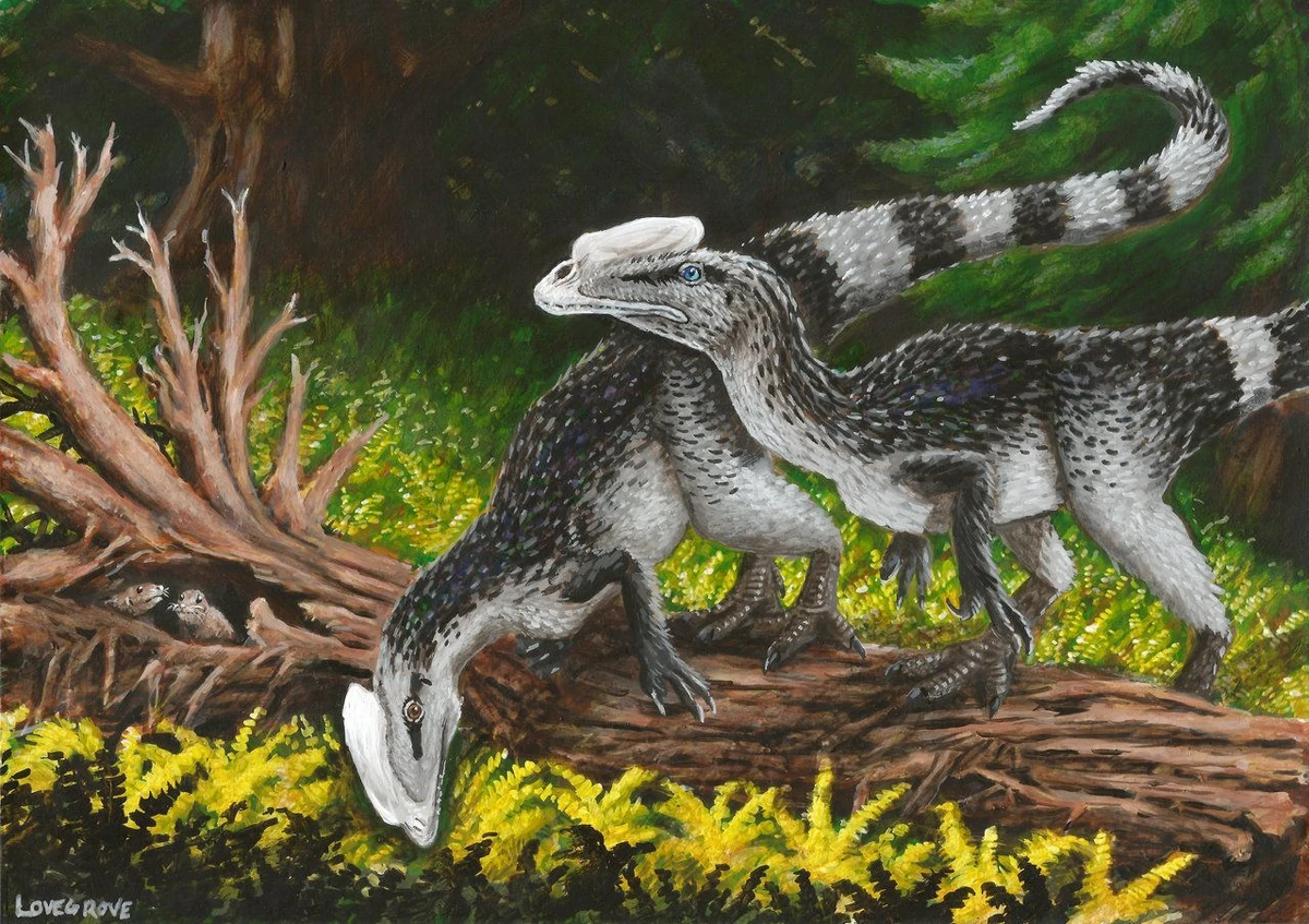 Proceratosaurus | Prehistoria Fandom | Fandom