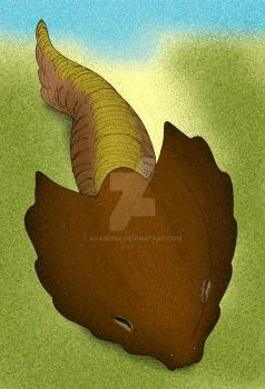 Hibernaspis | Prehistoria Fandom | Fandom