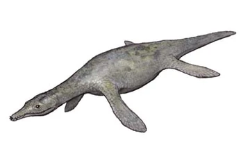 Pistosaurus | Prehistoria Fandom | Fandom