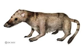 Categoría:Mammaliaformes | Prehistoria Fandom | Fandom