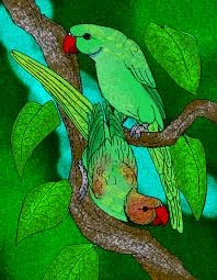 Psittacula exsul | Prehistoria Fandom | Fandom