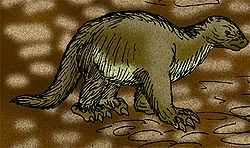 Neocnus | Prehistoria Fandom | Fandom