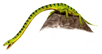 Tanystropheus | Prehistoria Fandom | Fandom