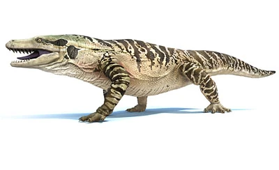 Megalania | Prehistoria Fandom | Fandom