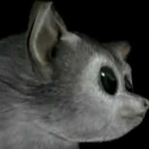 Shoshonius | Prehistoria Fandom | Fandom